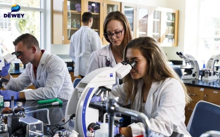 Học bổng Chính phủ MEXT 2025: Bí kíp săn hiệu quả